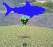 Ginsu Shark | Fisch Wiki | Fandom