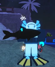 Reef Minnow | Fisch Wiki | Fandom