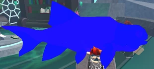 Amblypterus | Fisch Wiki | Fandom