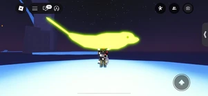 Beluga | Fisch Wiki | Fandom