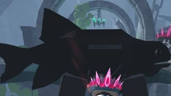 Amblypterus | Fisch Wiki | Fandom