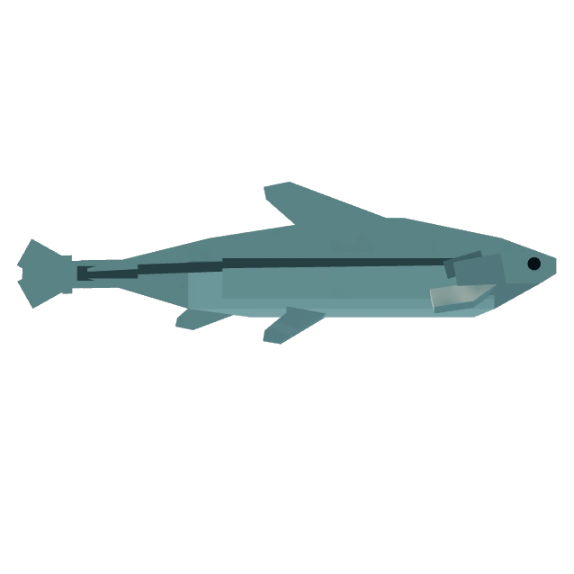 Minnow | Fisch Wiki | Fandom