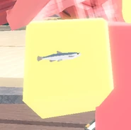 Anchovy | Fisch Wiki | Fandom