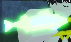 Perch | Fisch Wiki | Fandom