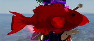 Reef Parrotfish | Fisch Wiki | Fandom