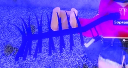 Hallucigenia | Fisch Wiki | Fandom