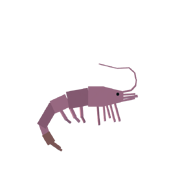 Common Crate | Fisch Wiki | Fandom