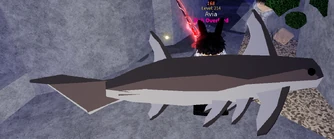 Acanthodii | Fisch Wiki | Fandom