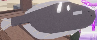 Flounder | Fisch Wiki | Fandom
