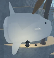 Sunfish | Fisch Wiki | Fandom