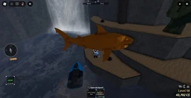 Ginsu Shark | Fisch Wiki | Fandom