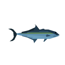 Amberjack | Fisch Wiki | Fandom