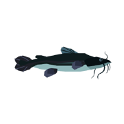 Worm | Fisch Wiki | Fandom