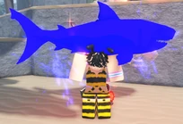 Ginsu Shark | Fisch Wiki | Fandom