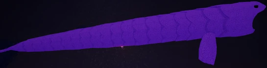 Bloop Fish | Fisch Wiki | Fandom