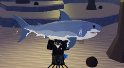 Ginsu Shark | Fisch Wiki | Fandom