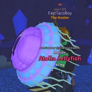 Atolla Jellyfish | Fisch Wiki | Fandom