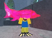 Phanerorhynchus | Fisch Wiki | Fandom