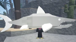 Helicoprion | Fisch Wiki | Fandom