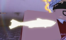 Sardine | Fisch Wiki | Fandom