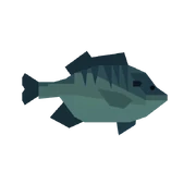 Snowcap Island | Fisch Wiki | Fandom