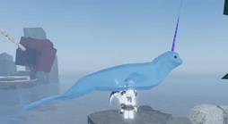 Narwhal | Fisch Wiki | Fandom