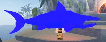 Helicoprion | Fisch Wiki | Fandom