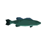 Terrapin Island | Fisch Wiki | Fandom