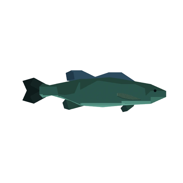 Discuss Everything About Fisch Wiki | Fandom