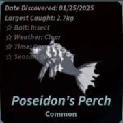 Insect | Fisch Wiki | Fandom