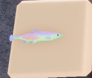 Ice Anchovy | Fisch Wiki | Fandom