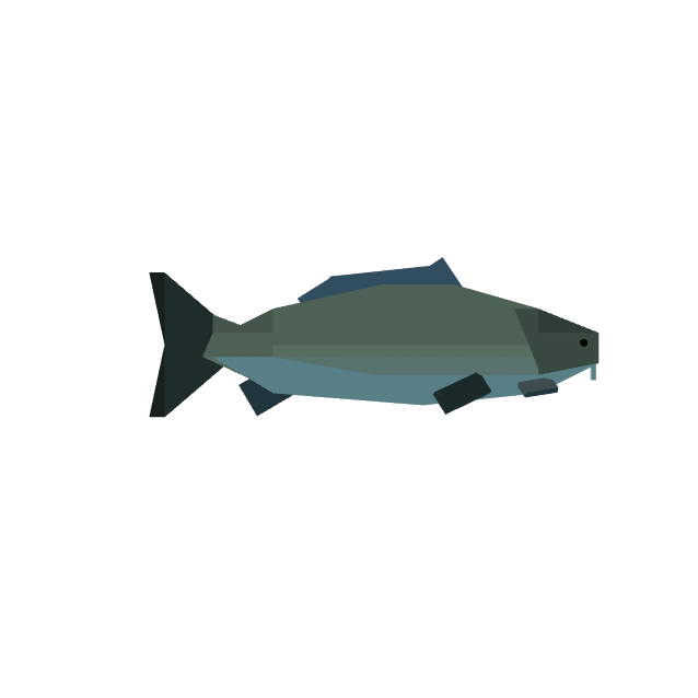 Carp | Fisch Wiki | Fandom