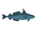 The Ocean | Fisch Wiki | Fandom