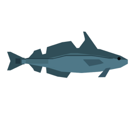 Haddock | Fisch Wiki | Fandom