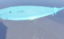 Moby | Fisch Wiki | Fandom