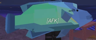 Napoleonfish | Fisch Wiki | Fandom