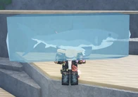 Ginsu Shark | Fisch Wiki | Fandom