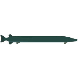 Long Pike | Fisch Wiki | Fandom