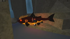 Aurora Trout | Fisch Wiki | Fandom