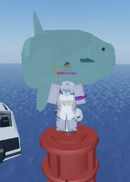 Sunfish | Fisch Wiki | Fandom