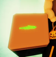 Minnow | Fisch Wiki | Fandom