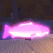 Carp | Fisch Wiki | Fandom