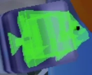 Angelfish | Fisch Wiki | Fandom