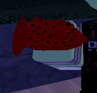 Yellow Boxfish | Fisch Wiki | Fandom