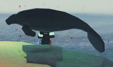 Manatee | Fisch Wiki | Fandom