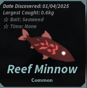 Seaweed (Bait) | Fisch Wiki | Fandom