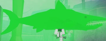 Helicoprion | Fisch Wiki | Fandom