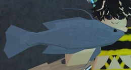 Longtail Bass | Fisch Wiki | Fandom