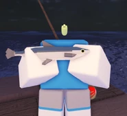 Anchovy | Fisch Wiki | Fandom