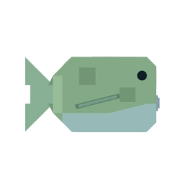 Pufferfish | Fisch Wiki | Fandom